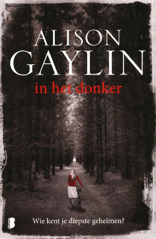 In het donker - Alison Gaylin : Romans