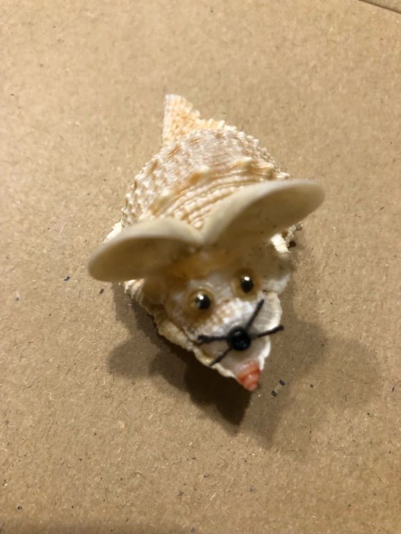 Muis gemaakt van schelp . Schelpen muis Muisje schelpenbeeld : Beelden ...