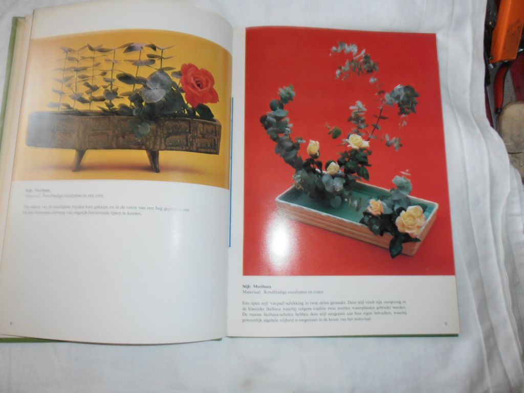 Ikebana ? Norman Sparnon : Creativiteit